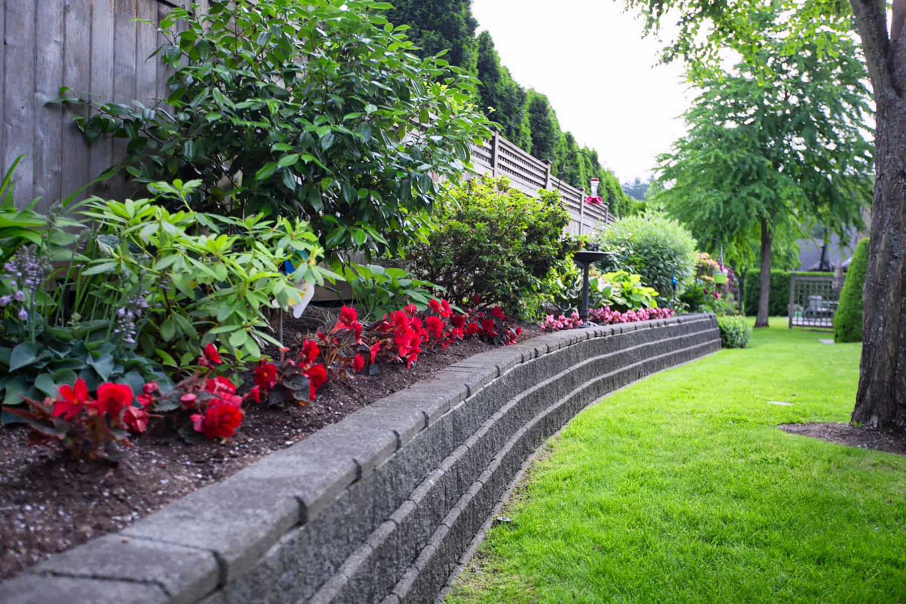 Home Splendid Landscapes